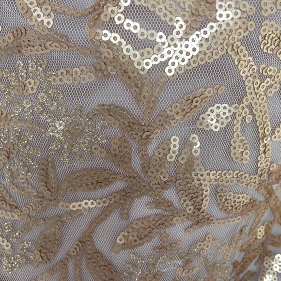 Bari Jay | Dresses | Bari Jay Sequin Gown 733 | Poshmark